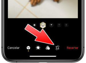 How to Enable Selfie Mirroring on iPhone