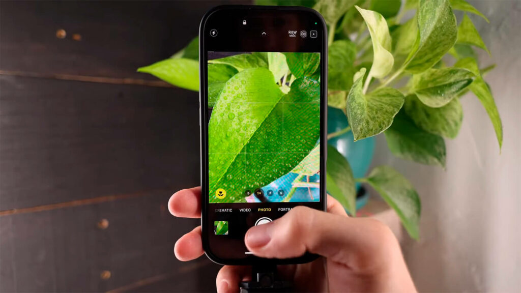 iPhone 16 Pro e fotografia macro de 48 megapixels: precisa de tudo isso?